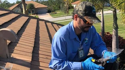 Rodent Control South Florida | Native Pest Management