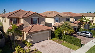 Pest Control in Florida | Native Pest Management