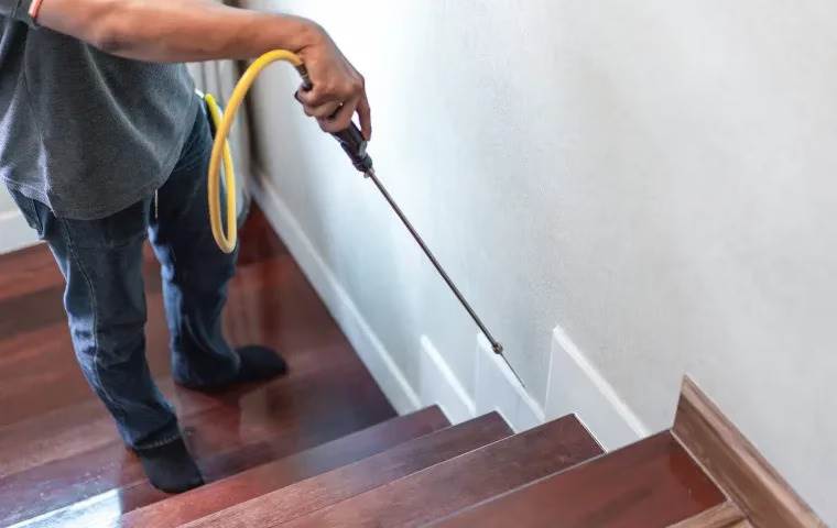 What to Know About Wood Treatment for Termites in Miami, FL | Native ...