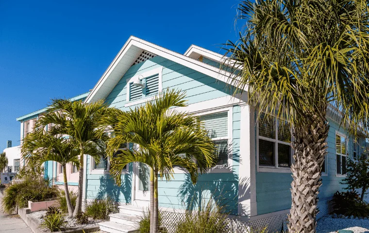 What Palm Trees Can I Grow In West Palm Beach? | Native Pest Management ...