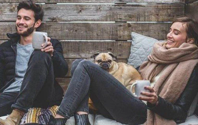 Everything You Need To Know About Winter Pest Control | Native Pest ...