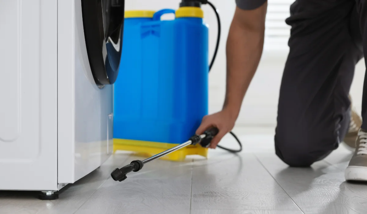 How Much Is Pest Control in West Palm Beach? - Native Pest Management