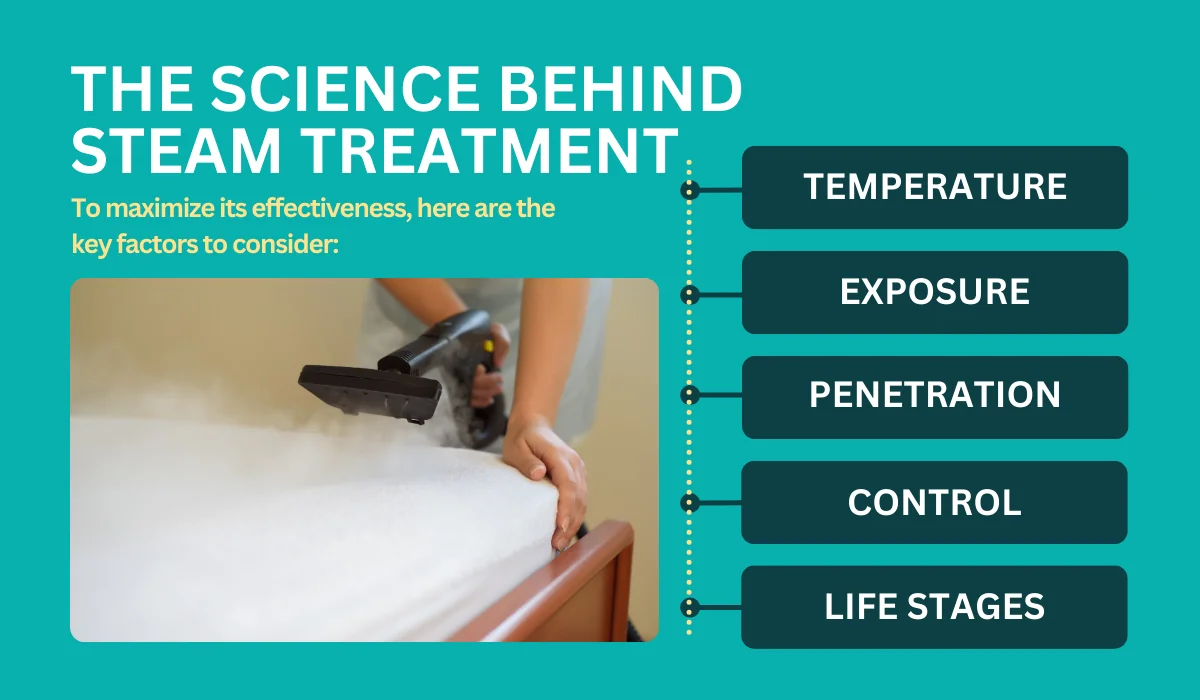 Does Steam Kill Bed Bugs? - Native Pest Management